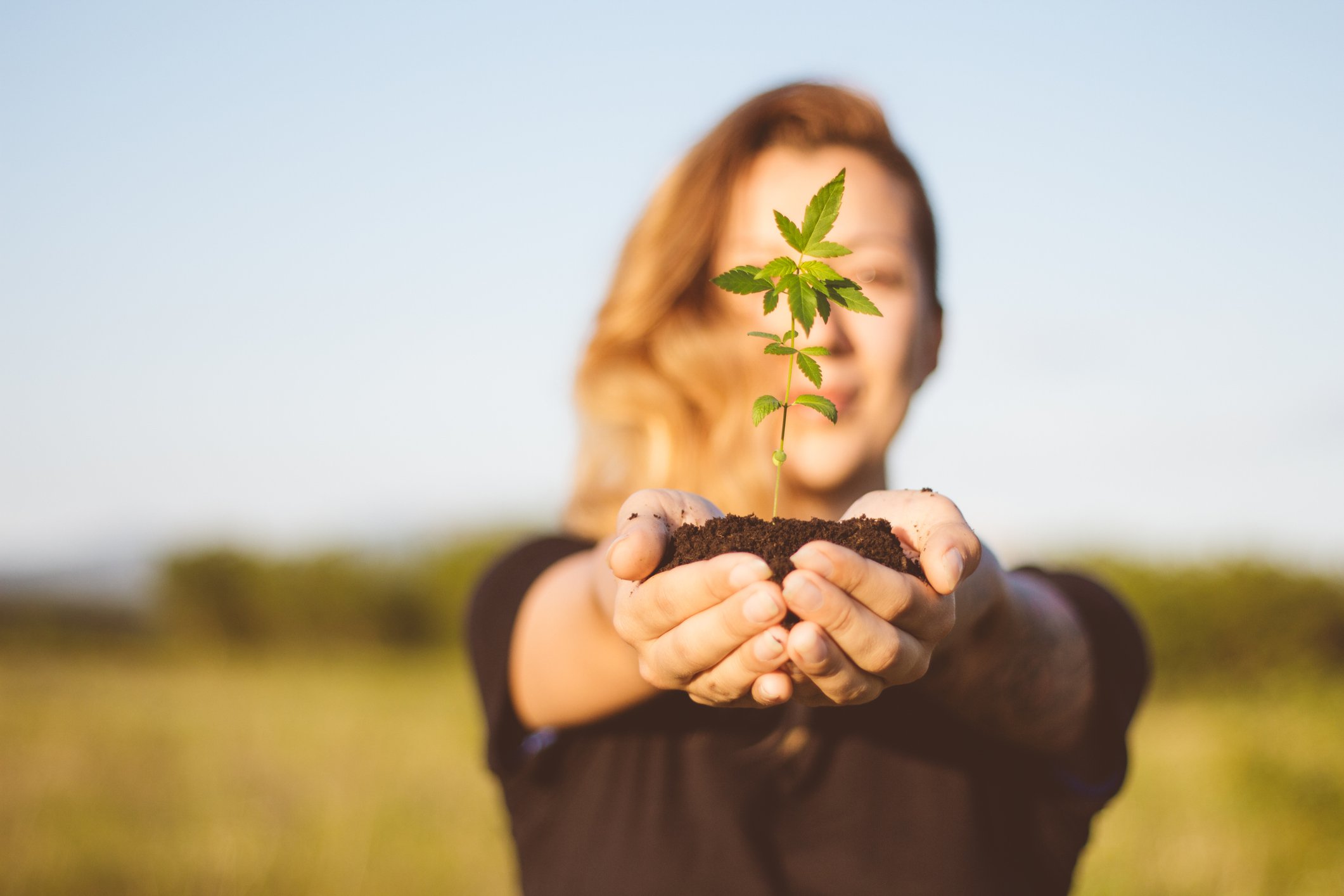 13 Stats About the Growing Cannabis Industry Any Investor Should Know ...