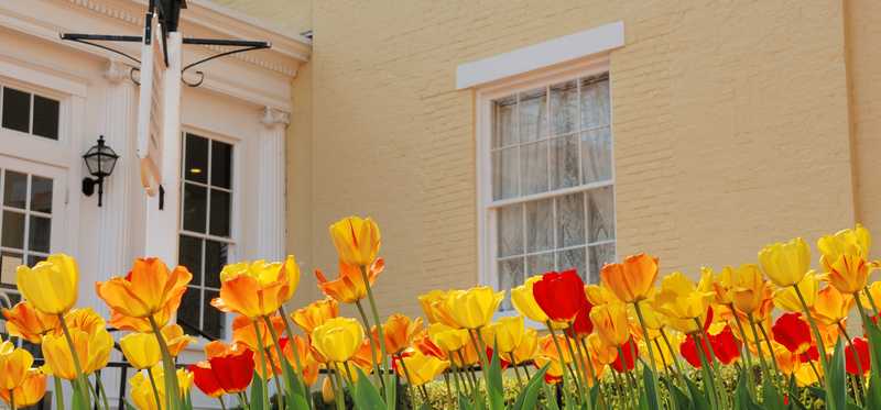 8 Common Landscaping Mistakes to Avoid | The Motley Fool