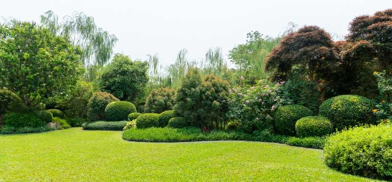 8 Common Landscaping Mistakes to Avoid | The Motley Fool