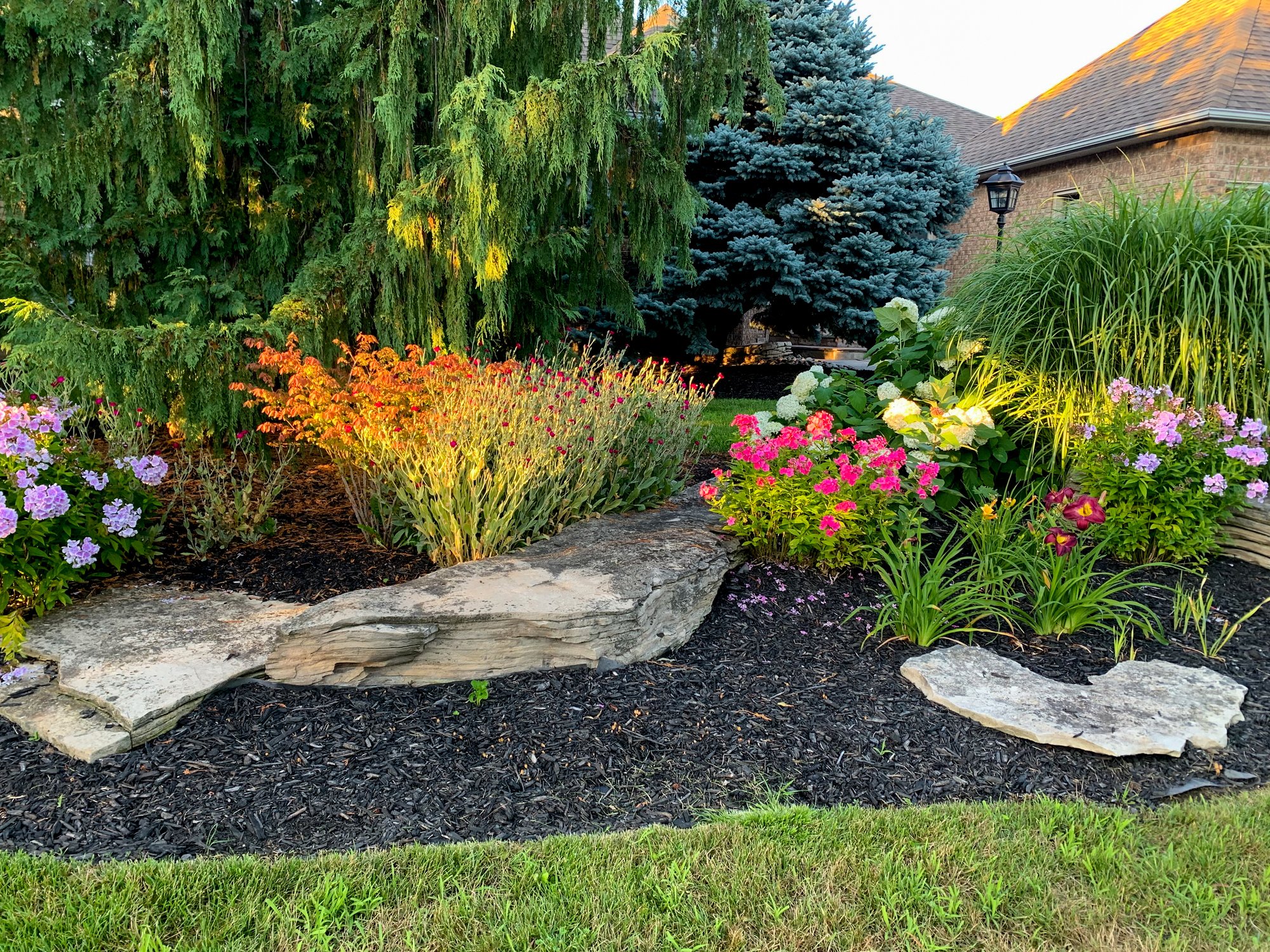 8 Common Landscaping Mistakes to Avoid | The Motley Fool